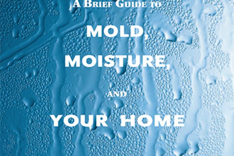 Mold | US EPA
